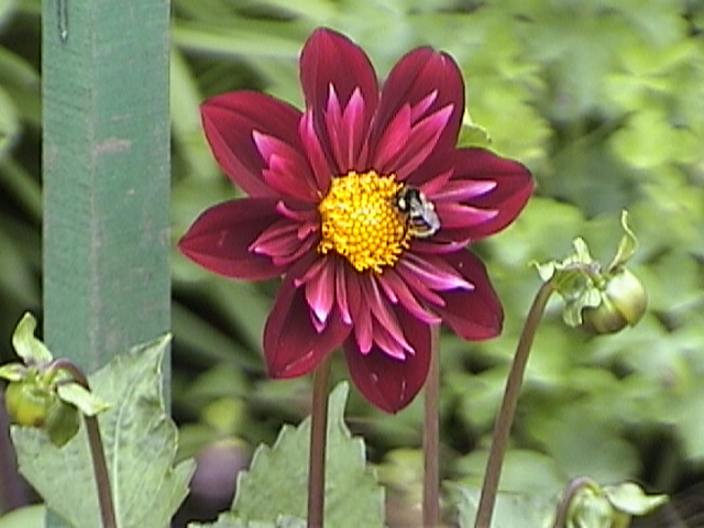 A Bit of Yellow: Yellow Stuff