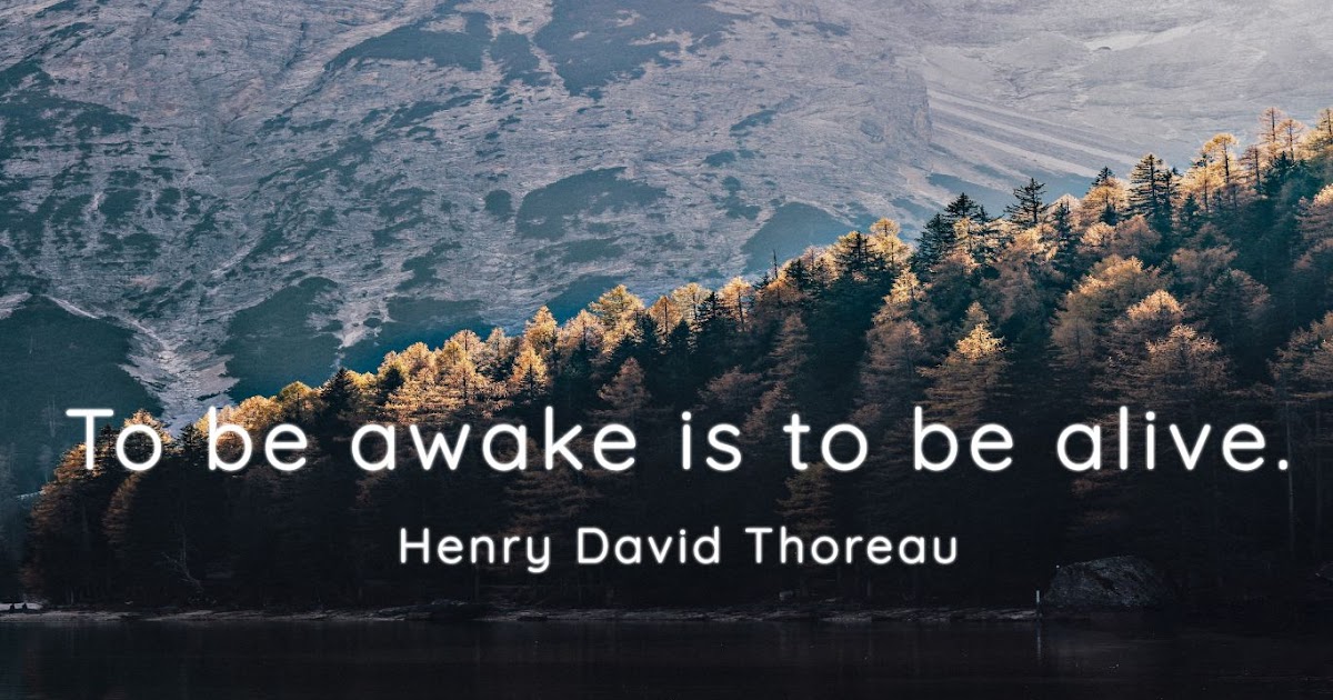 35+ Awake Quotes - QUOTEISH