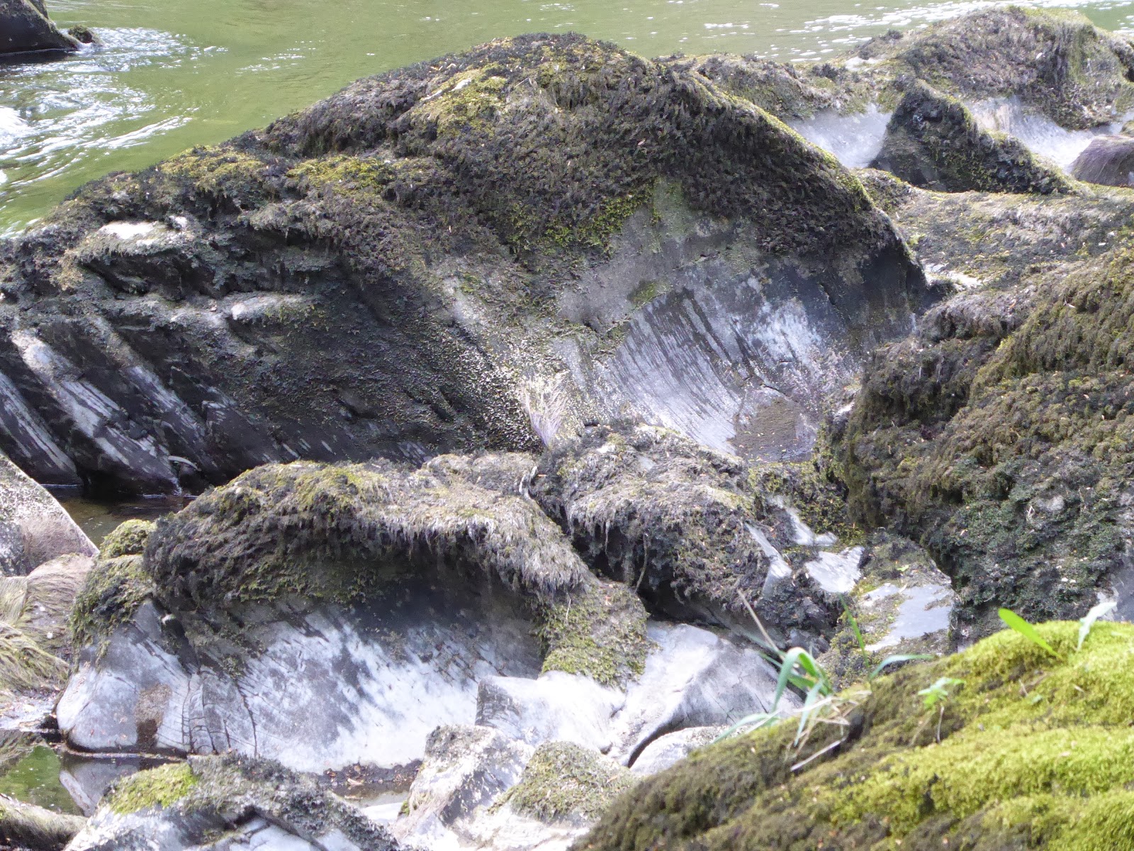 Codlinsandcream2: Tales of the riverbank