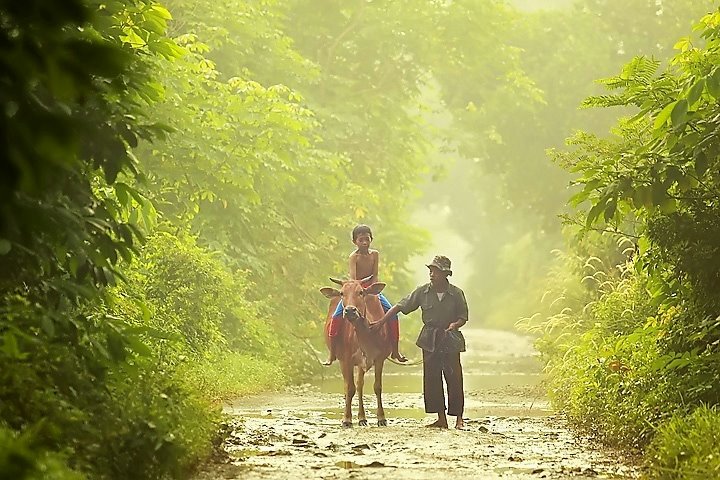 All About Human Activities