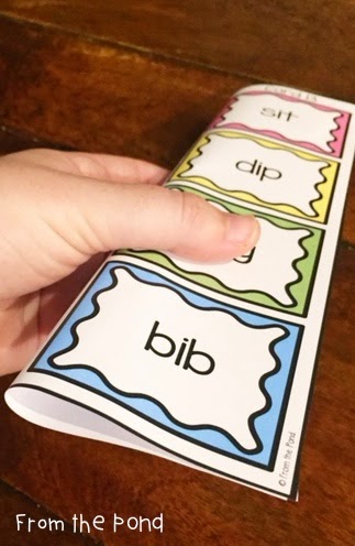 Fun with cvc Words | From the Pond