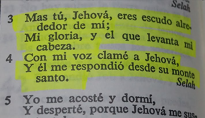 Salmos 3:3 - Versículos Bíblicos