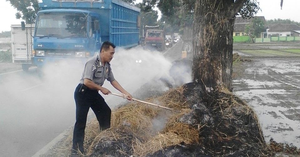 Petaka akibat pembakaran Jerami, Apa solusinya? - Radar DJowo