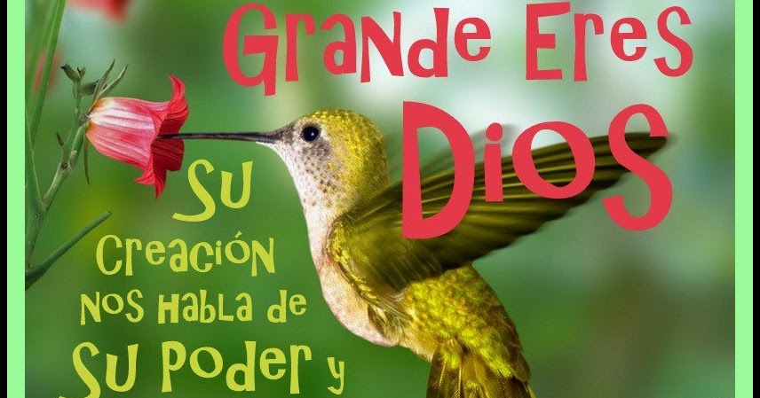 Reflexiones Para TI Y Para M Grande Eres Dios reflexiones-para-ti-y-para-m-grande-eres-dios