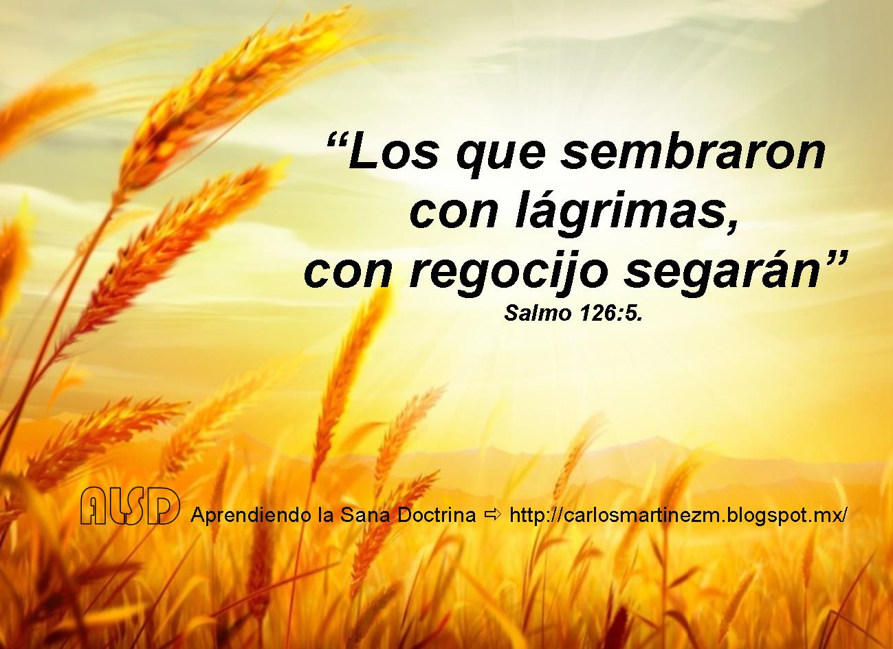 Aprendiendo la Sana Doctrina: “Los que sembraron con lágrimas, con ... Aprendiendo la Sana Doctrina: “Los que sembraron con lágrimas, con ...