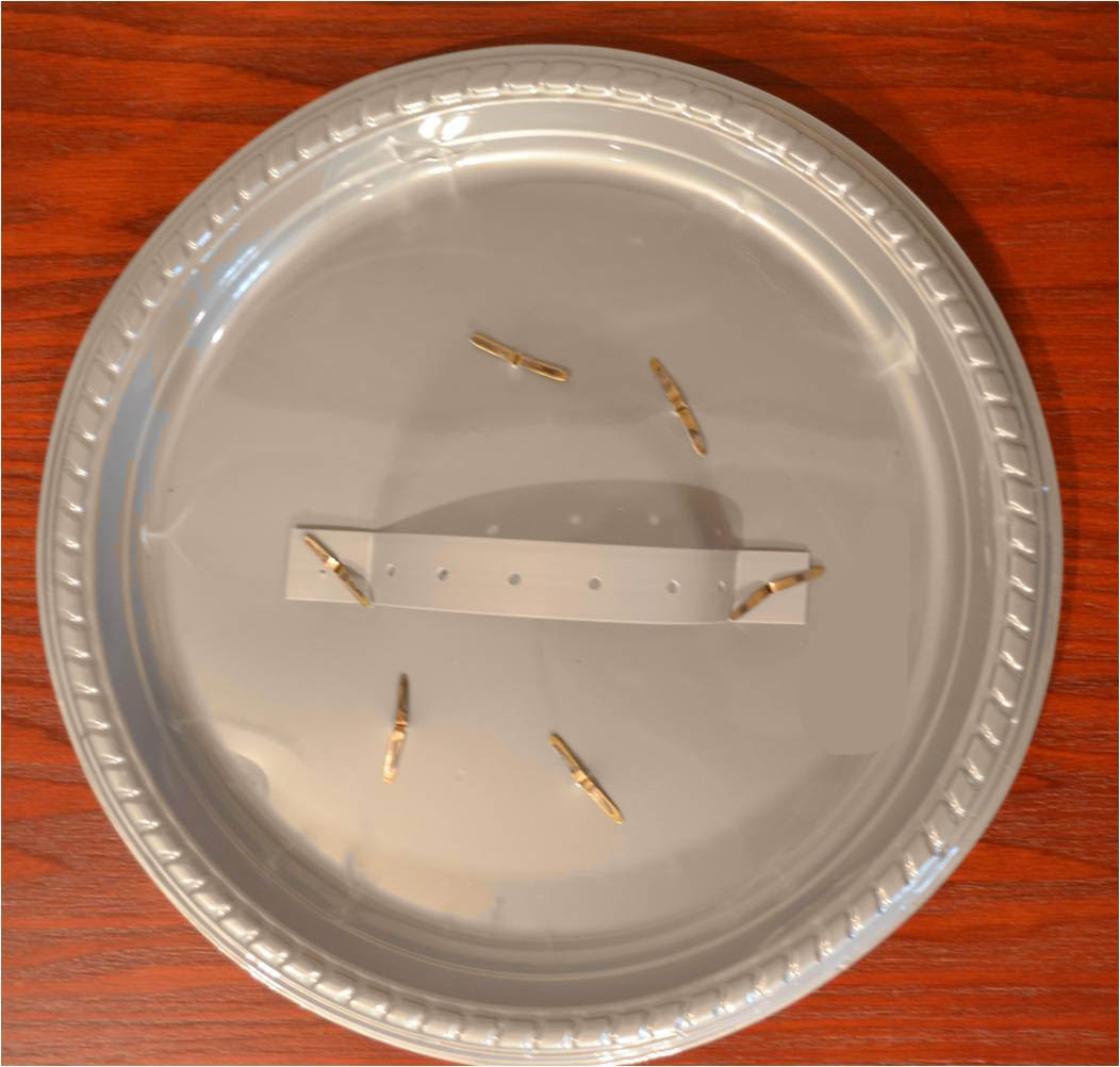 Bible Class Creations: Plastic Plate Shield