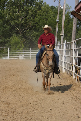 PairADice Mules: Western Pleasure