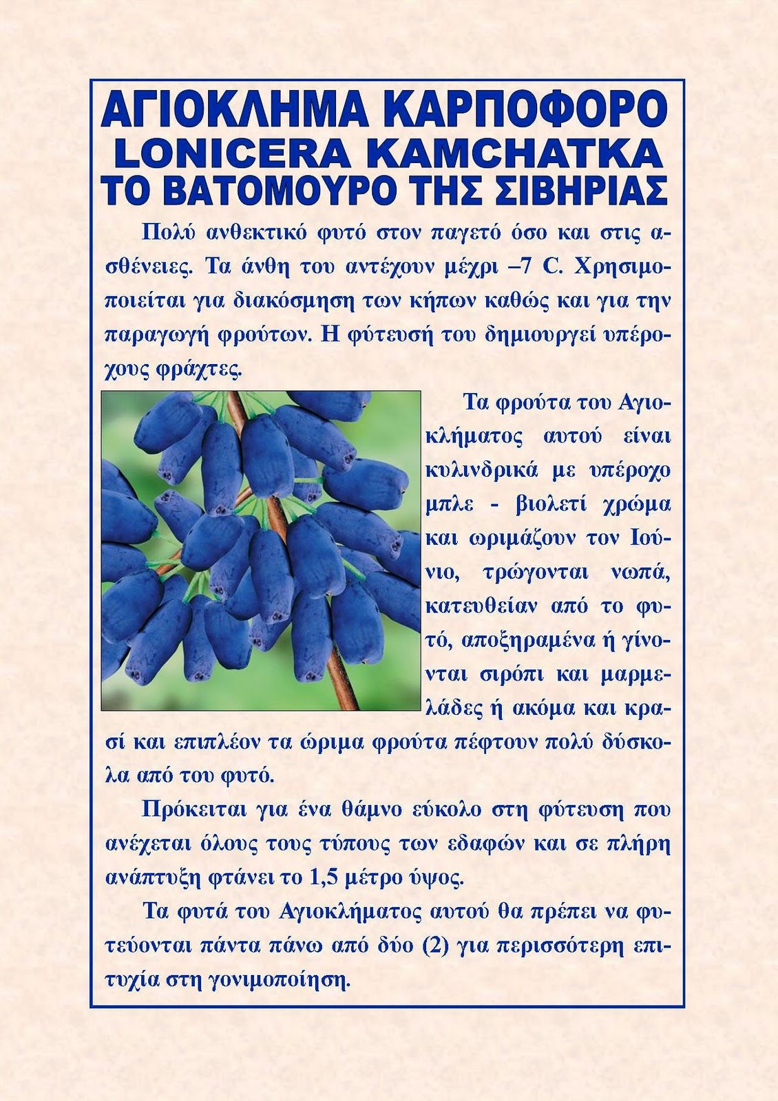 ΦΥΤΩΡΙΑ ΜΑΥΡΟΜΑΤΗ - ΟΡΜΥΛΙΑ ΧΑΛΚΙΔΙΚΗΣ: Δεκεμβρίου 2011