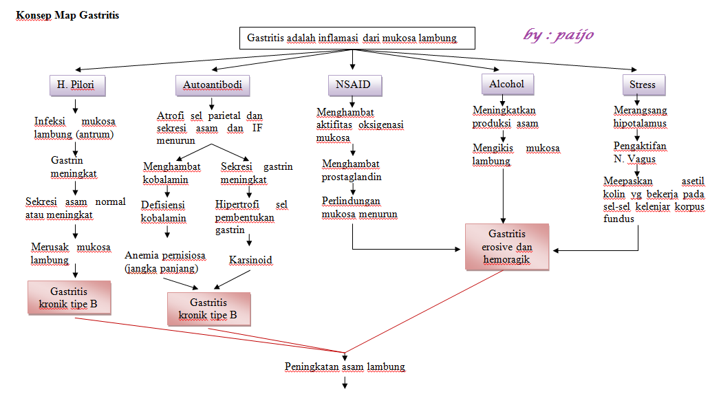 Pathway Gastritis