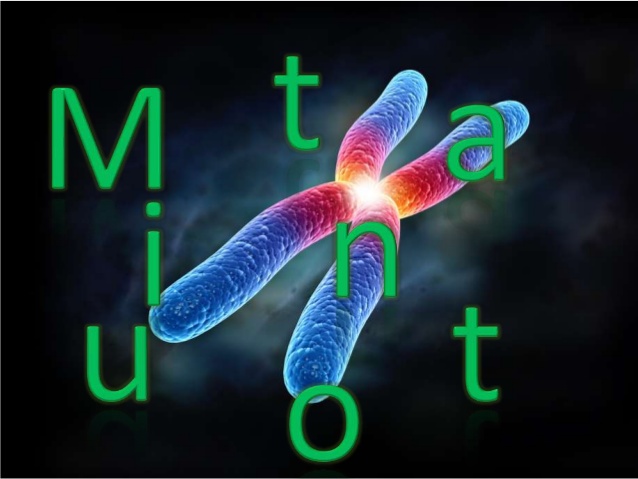 Modern Science refutes the Evolutionary theory: Mutation rate and lack ...