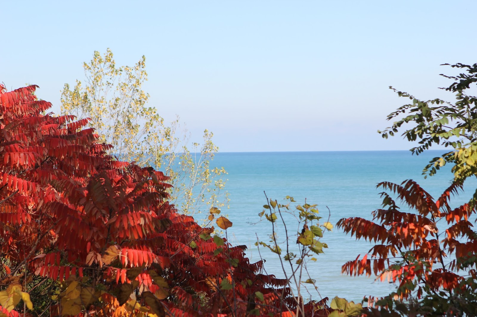 Romancing the Home: Leaving Lake Bluff