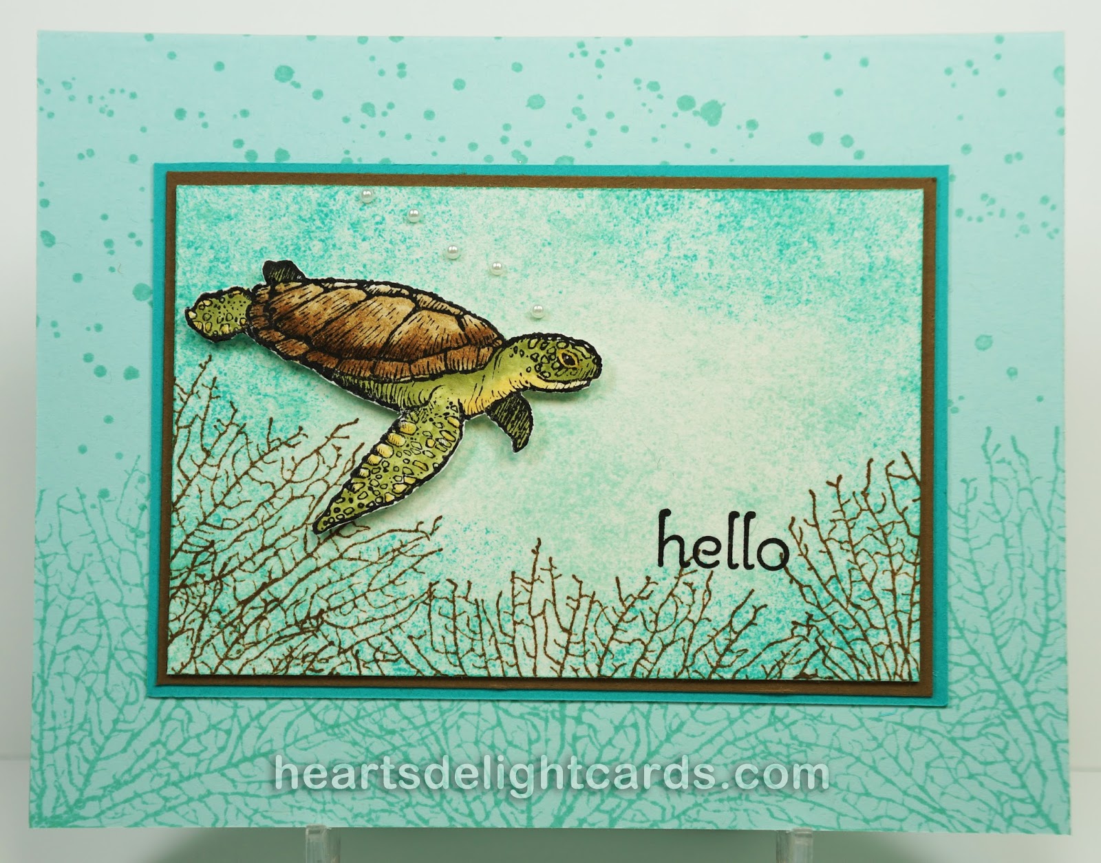 Heart's Delight Cards: Hello, Sea Turtle!