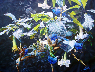 Angel Ulloa: Aves de Venezuela