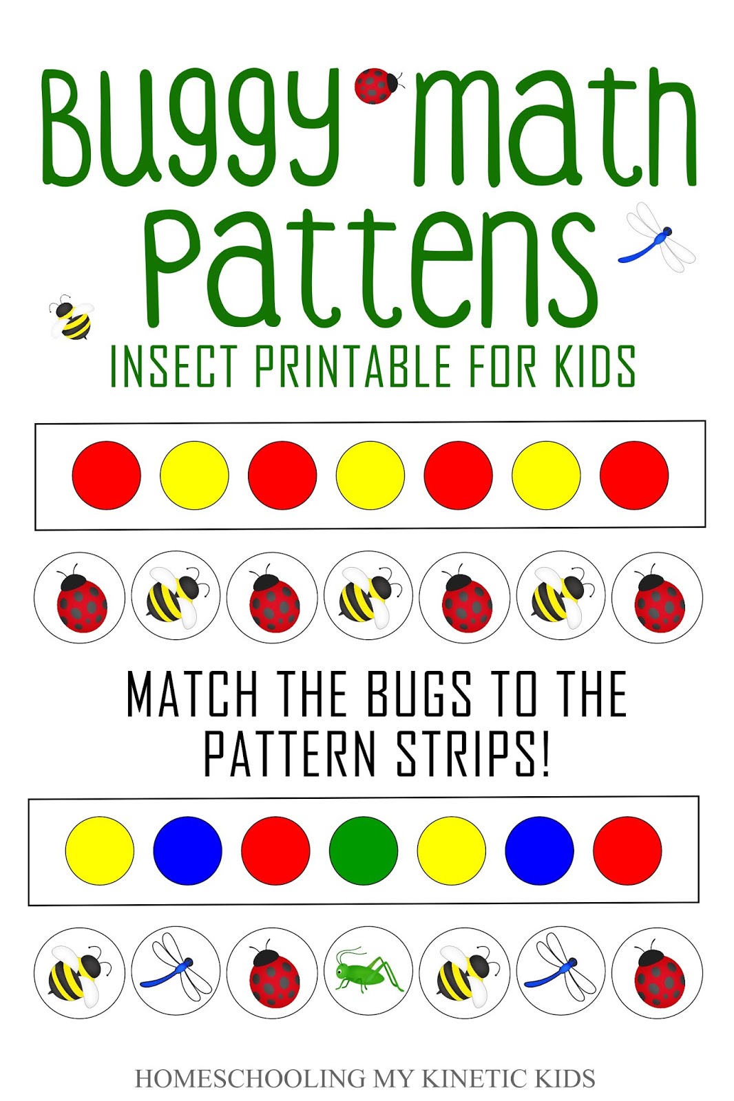 Insect Math Worksheets