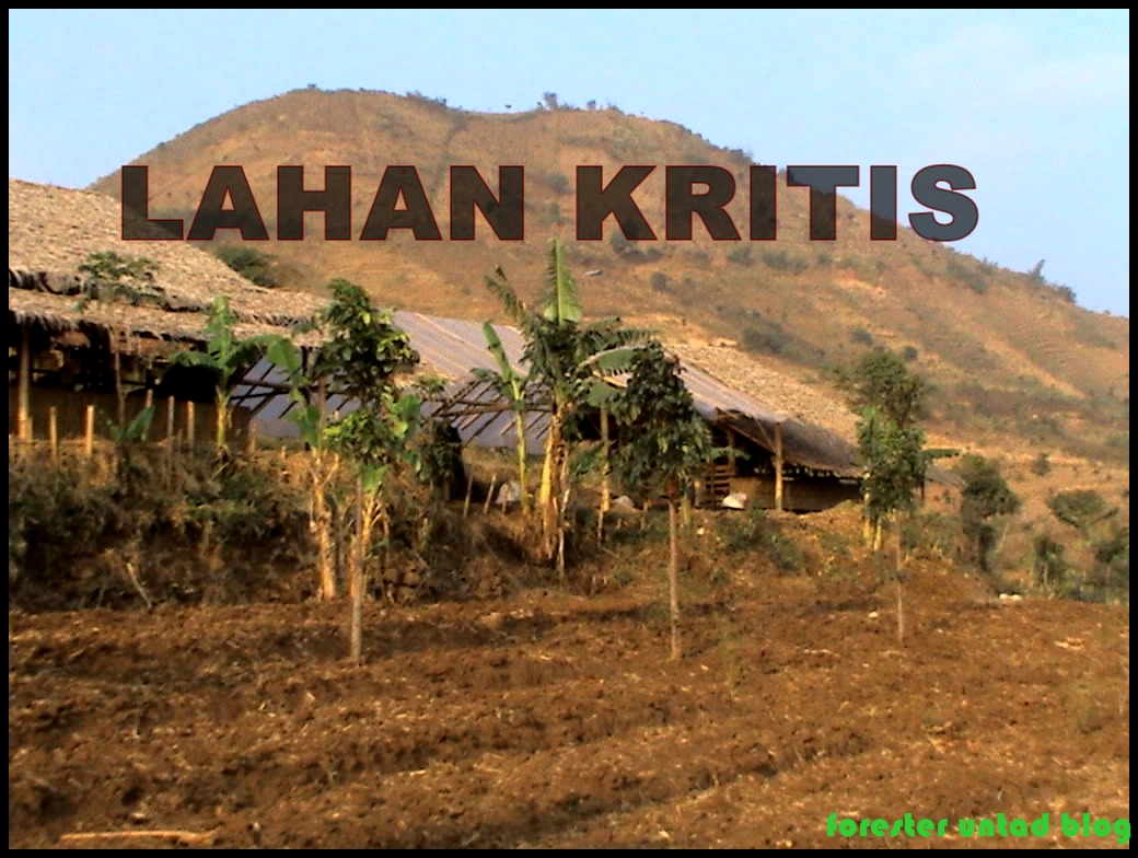 Faktor penyebab dan dampak Degradasi Lahan ~ FORESTER UNTAD BLOG