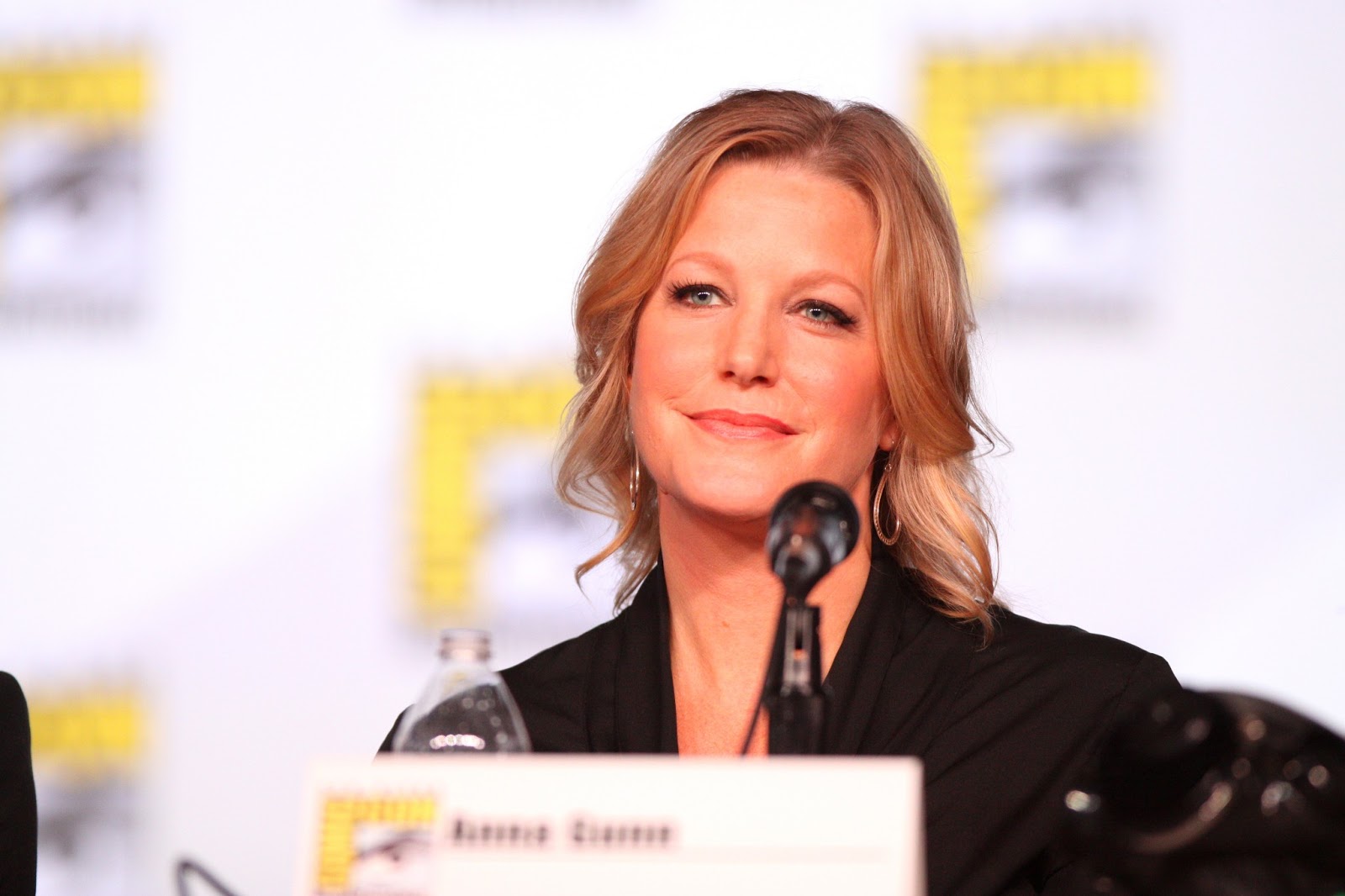 Anna Gunn Photos | Tv Series Posters and Cast