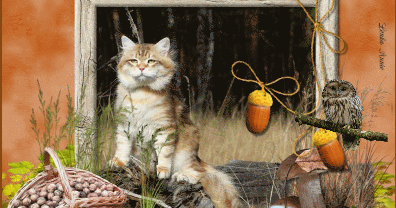 Vítejte u Lenky: Hello Hello - Erika