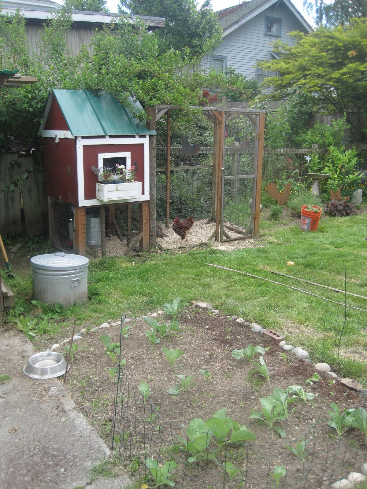 Bound By the Seasons.: Seattle Tilth's Chicken Coop and Urban Farm Tour.