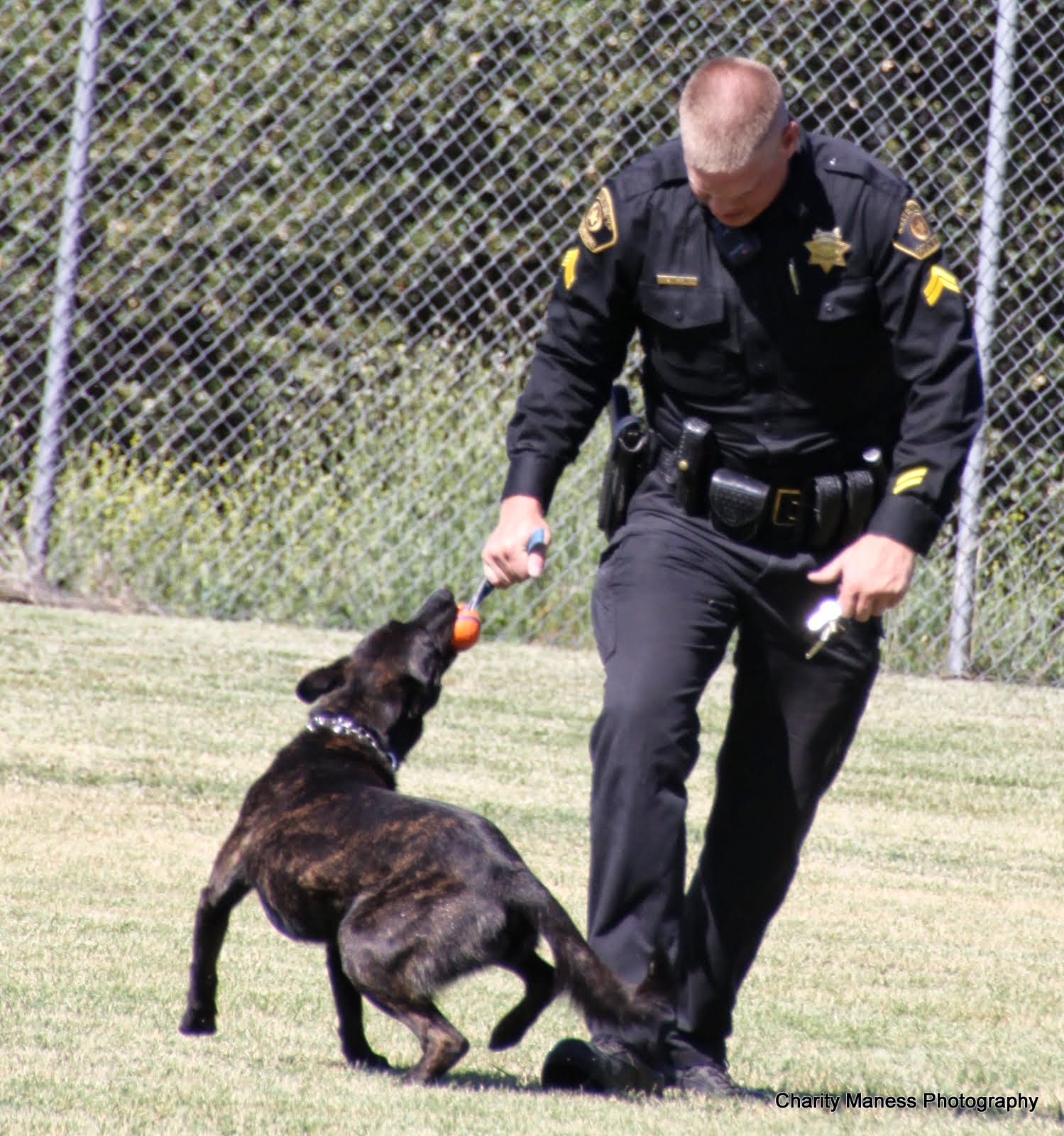 Copper Gazette: Sheriff Dept unveils new K9 Narcotics Dog 'Buster'
