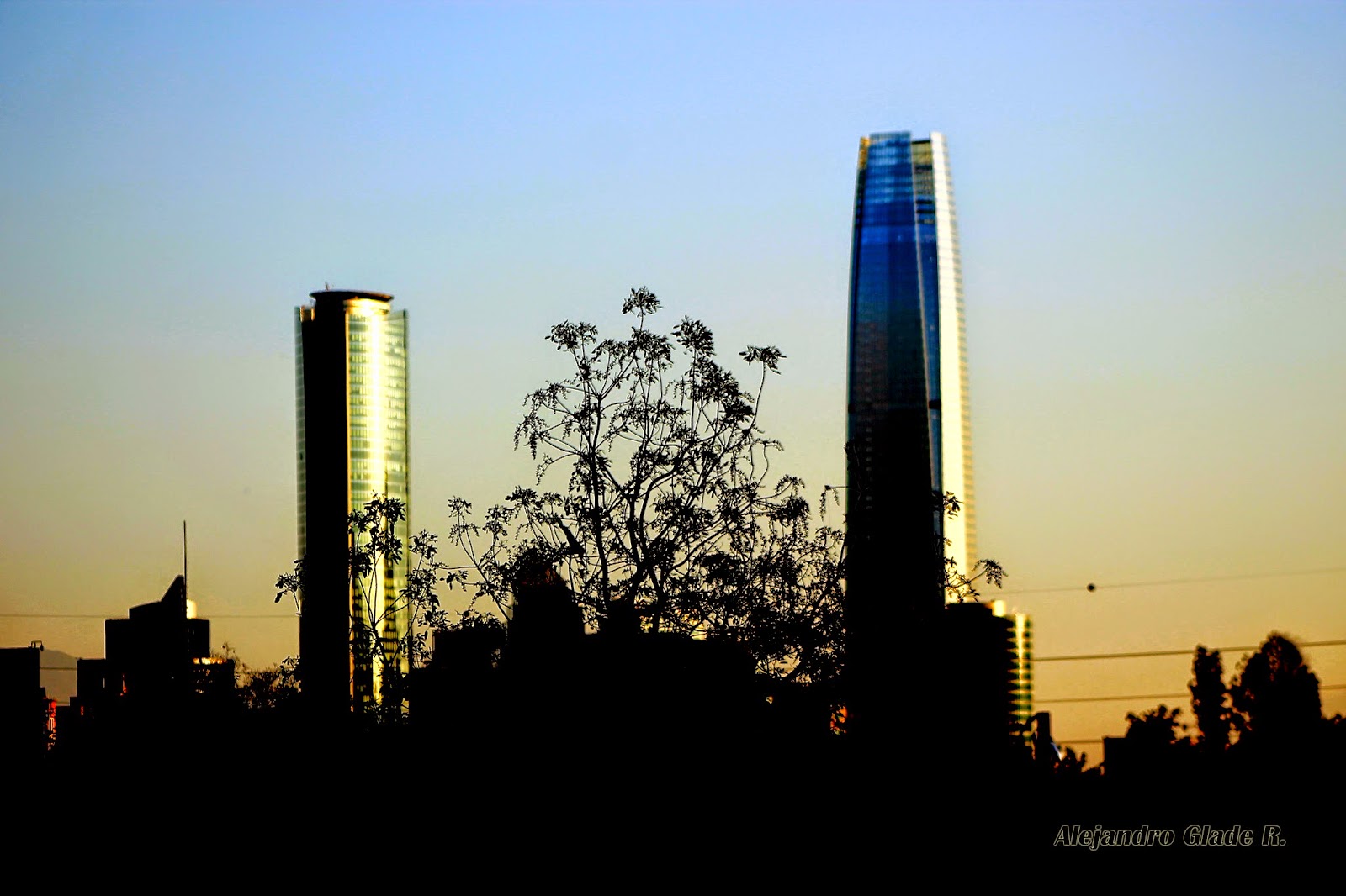 ZOOM FOTOGRÁFICO : El Contraste.