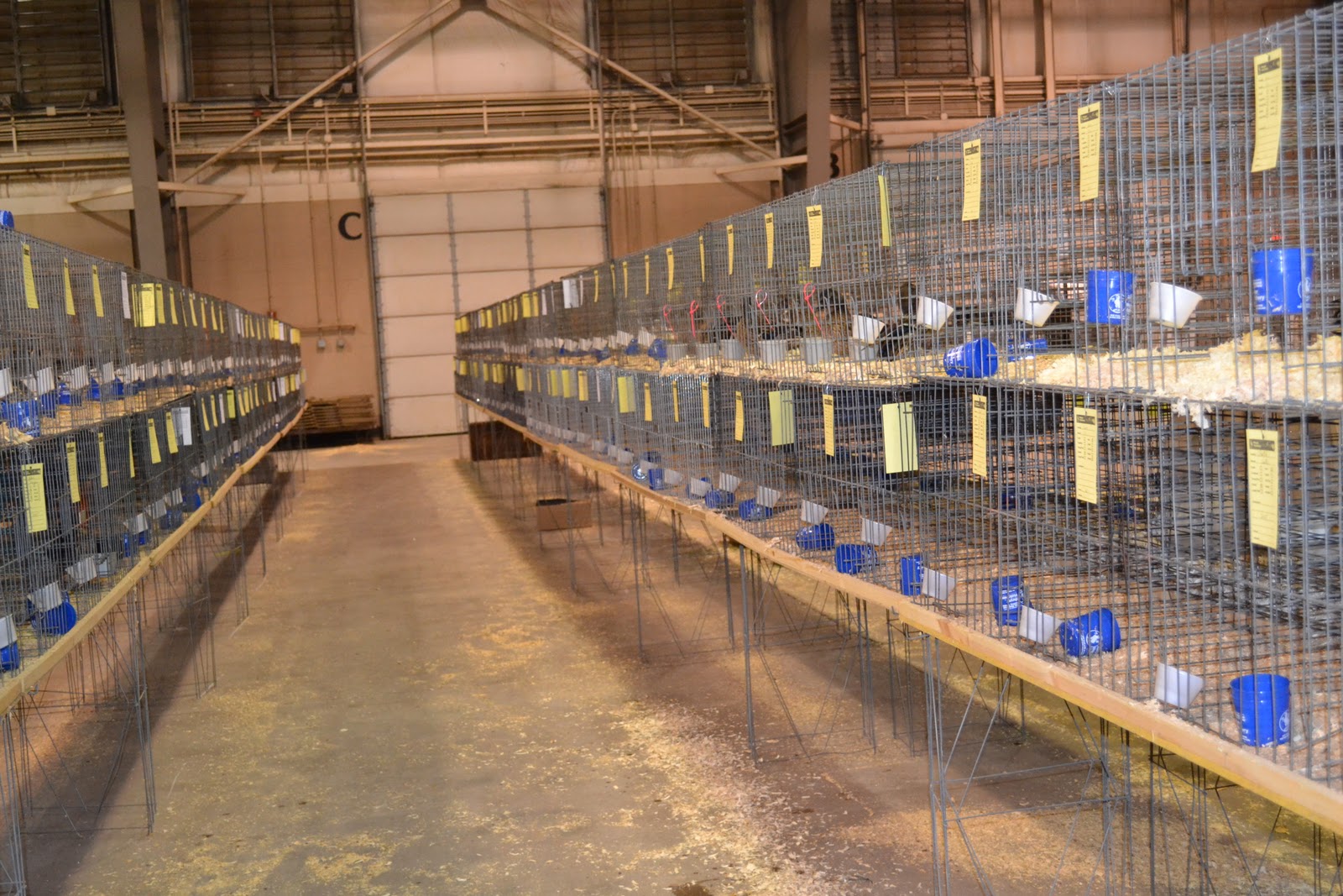 Ohio National Poultry Show