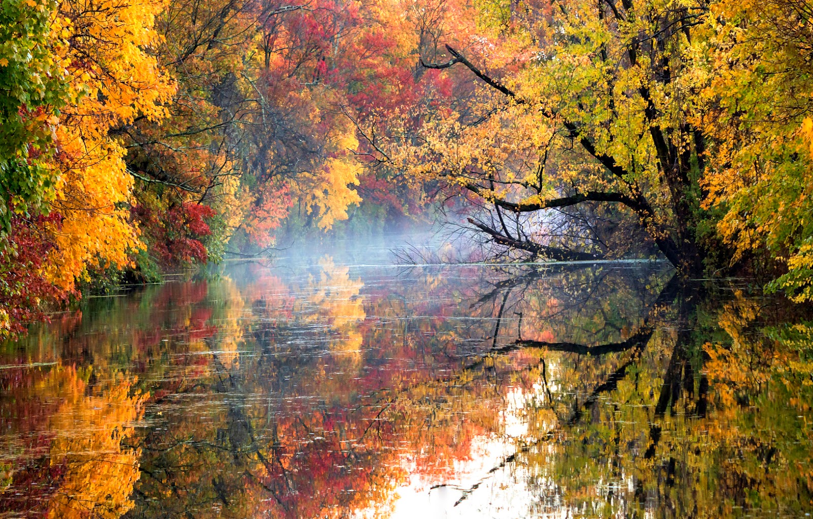 Travel & Adventures: United States of America. A voyage to the nature ...