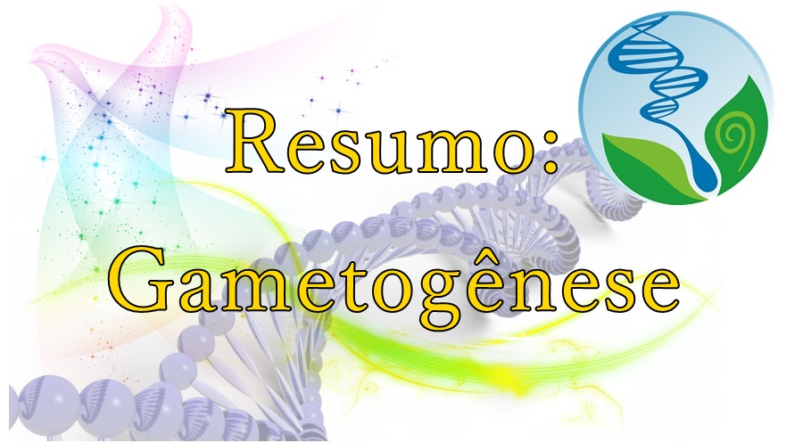 Resumo: Gametogênese | Sou de Biológicas