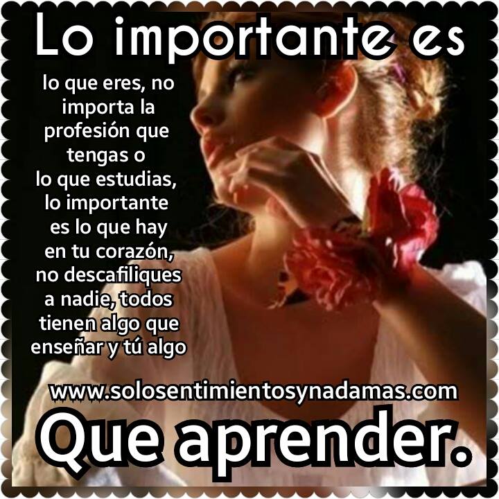 Lo importante es lo que eres. - Solo sentimientos y nada mas