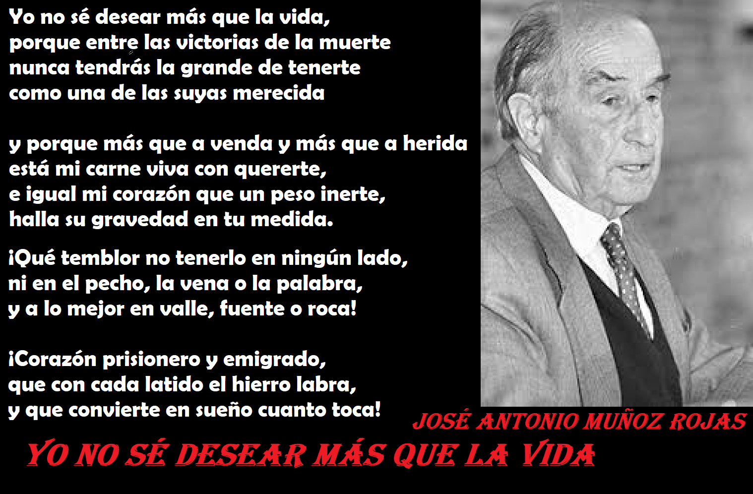 JOSÉ ANTONIO MUÑOZ ROJAS