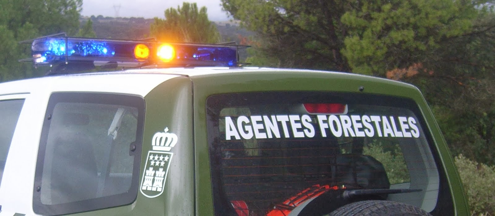 Agentes Medioambientales de Castilla-La Mancha: ENLACES DE LA PROFESIÓN