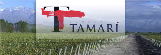 MEU VINHO CERTO: Tamarí Varietal Malbec 2011