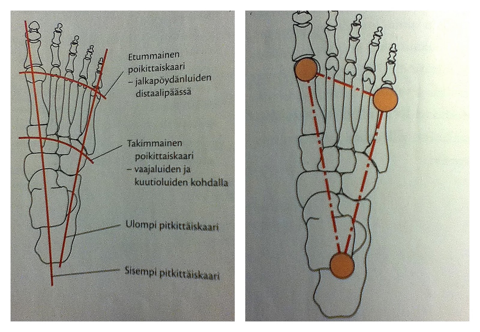 Essin Blogi: Jalkojen hoito