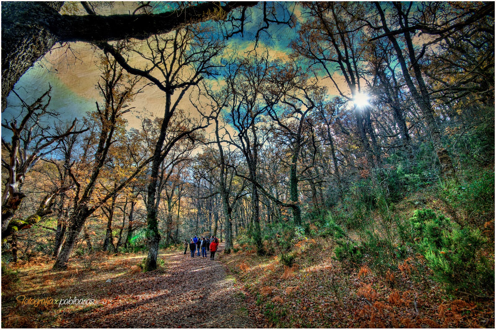 Un valle llamado Madrid: El Hayedo de Montejo