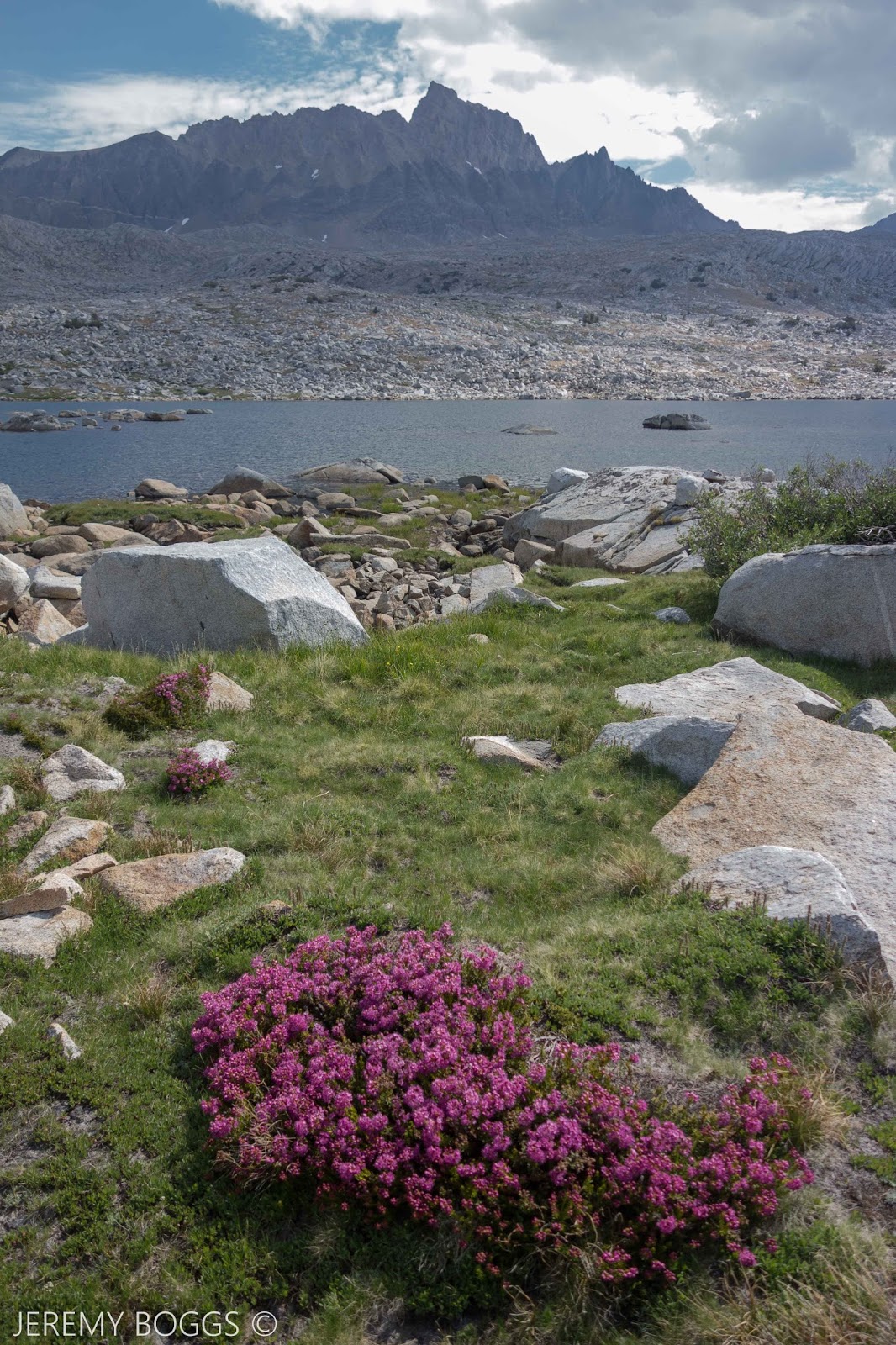 Adventure Los Angeles