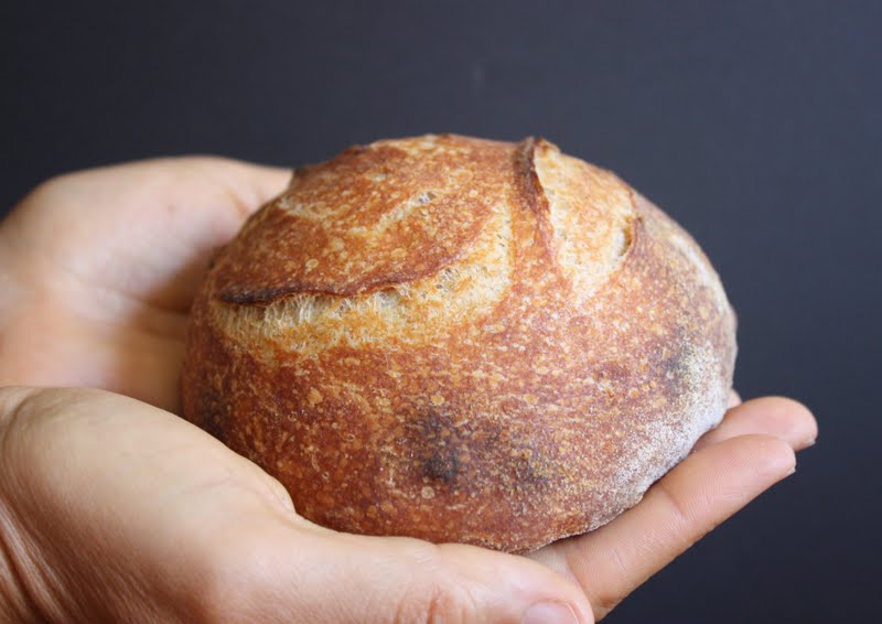Tartine Bread Experiment: baby boules