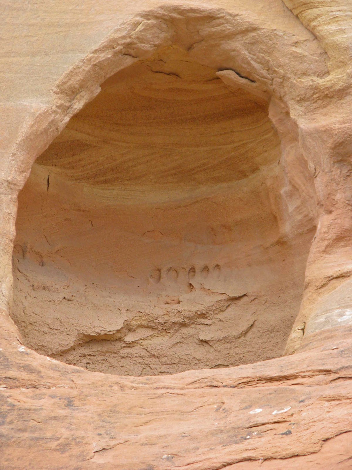 In the Company of Plants and Rocks: tafoni #1