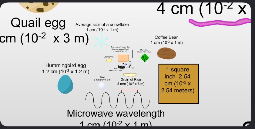 The Entire Universe in Scale.