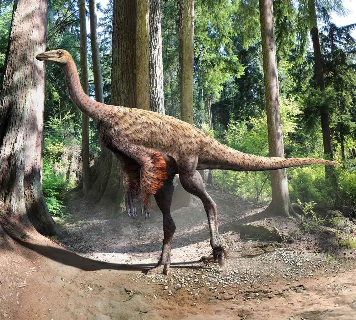 Species New to Science: [Paleontology • 2016] A Densely Feathered ...