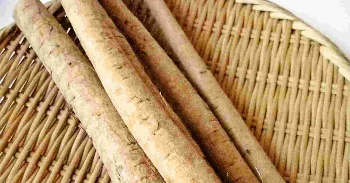 Recipes for Tom: Gobo burdock root