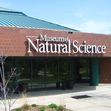 Redefining the Face Of Beauty : TOP 10 ATTRACTIONS IN MISSISSIPPI!