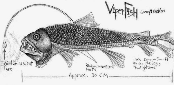 AVEEK- Blogs: Viper fish