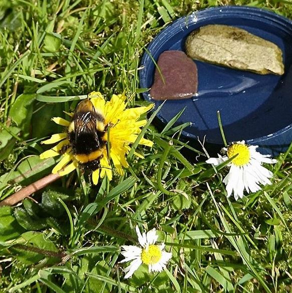 Gormals Odds 'n' Ends: 2018