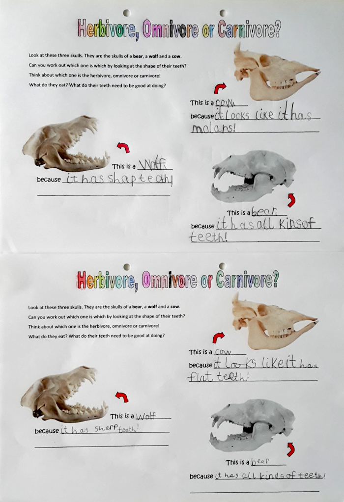 Picnic Panda's Learning Journey: Teeth, teeth, teeth