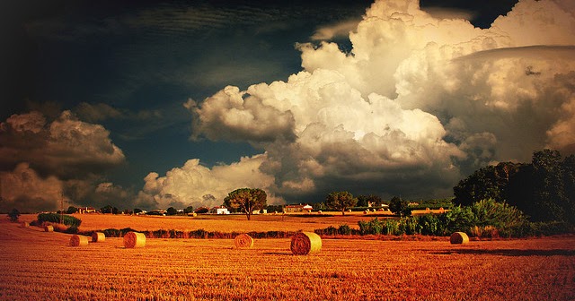 School Of Digital Photography: Seasonal Quality Of Light