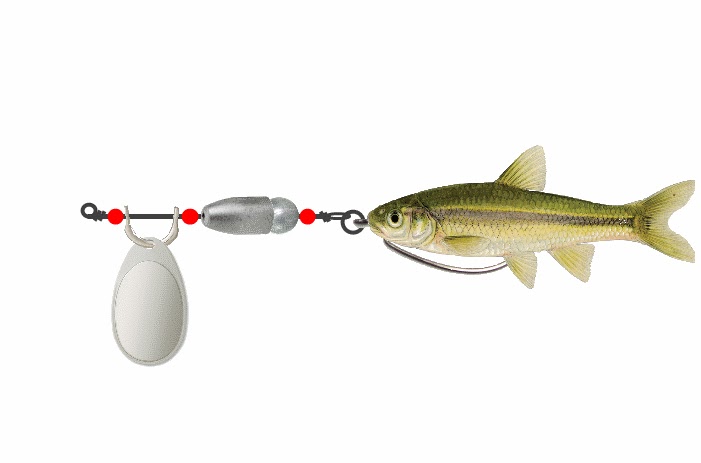 Lures - Inline Spinner | THE ANGLERS