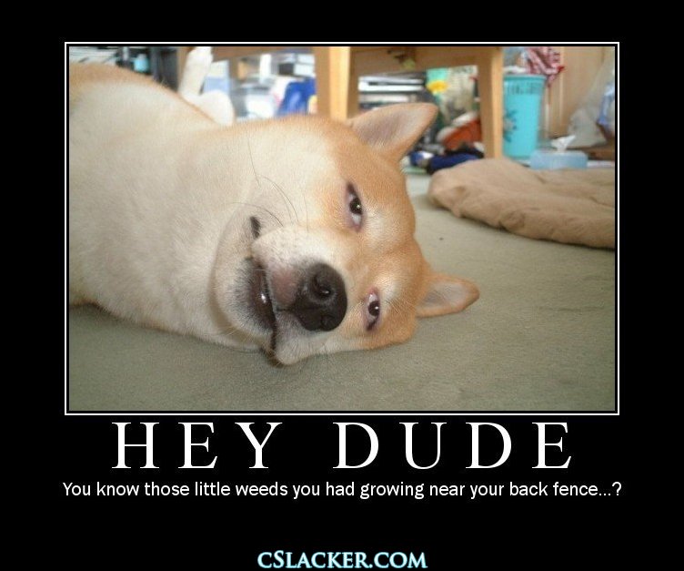 All time Funny Memes: Funny Memes of 1 may