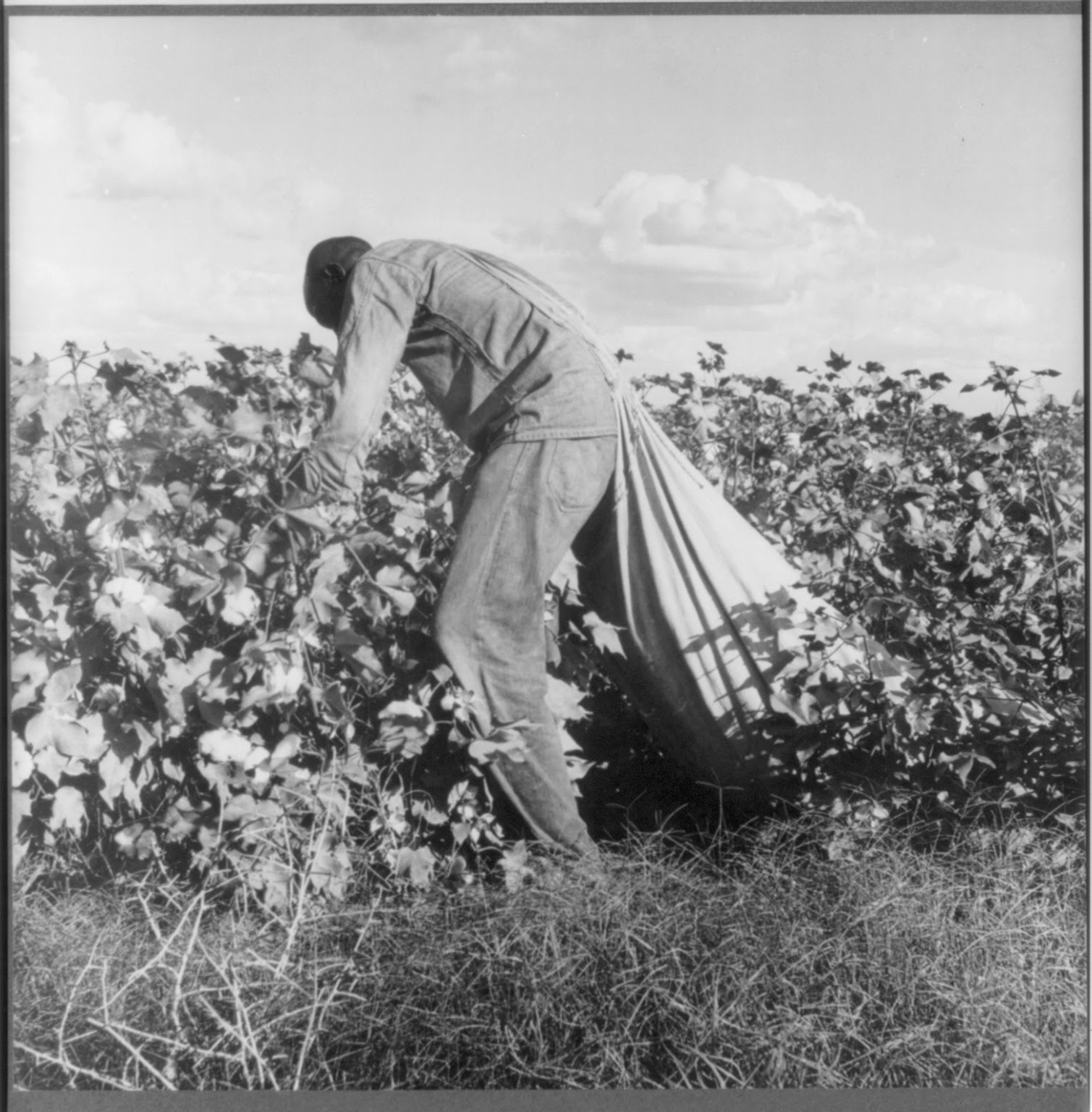 California Historical Society: Labor Day in California