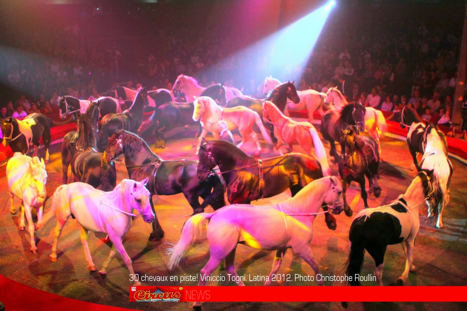 CIRCORAMA PART II: 30 CHEVAUX EN PISTE, AU 38ème FESTIVAL DU CIRQUE DE ...