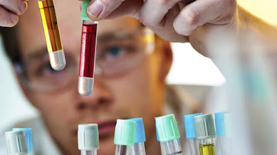 Easy Scientific Method Experiments Examples For Beginner | Science ...