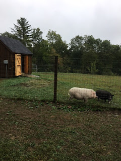 Dispatch from the Digital Health Frontier: Unity Farm Journal - First ...